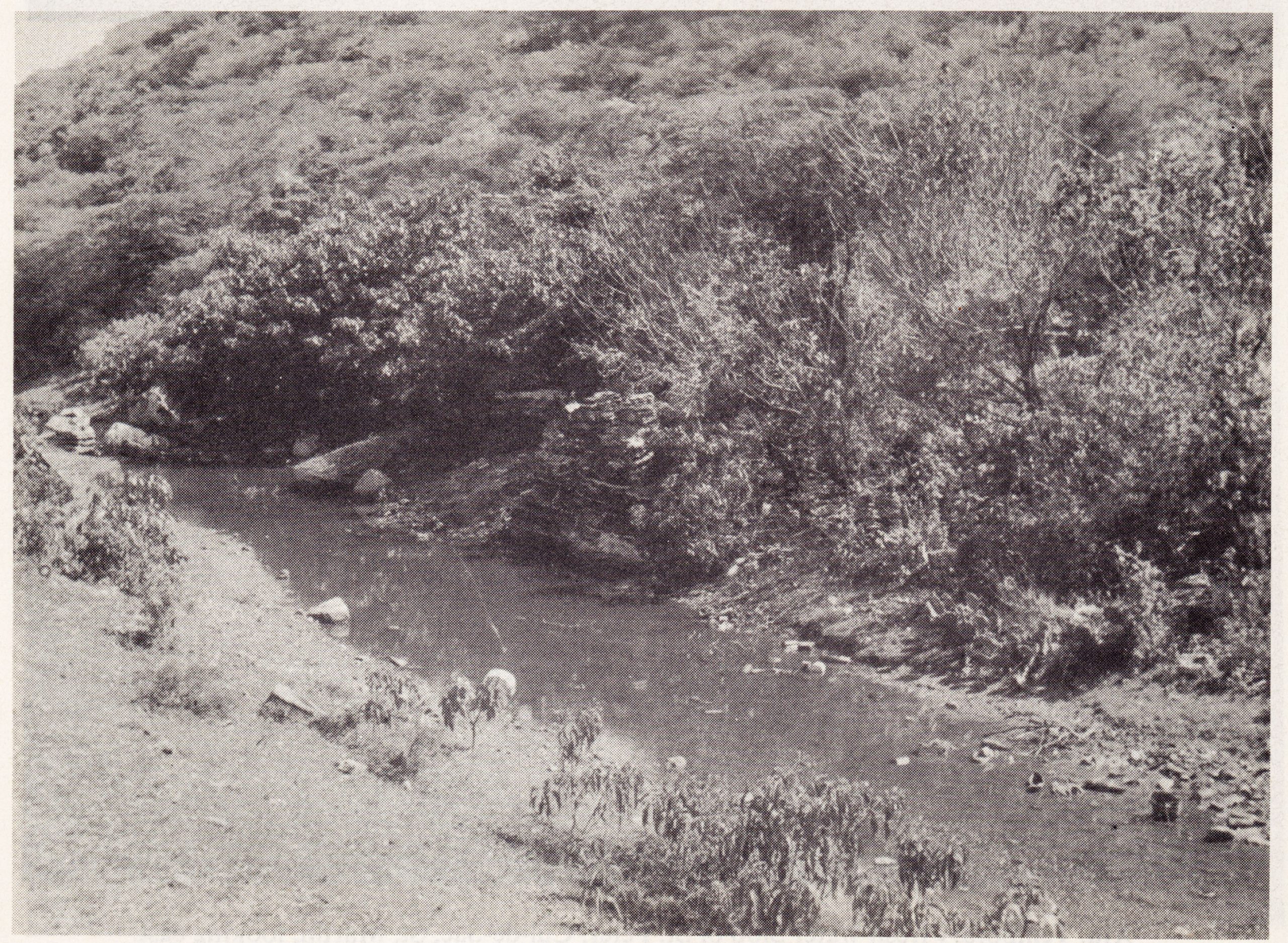 Rolandus Canal – St. Martin Image Collection