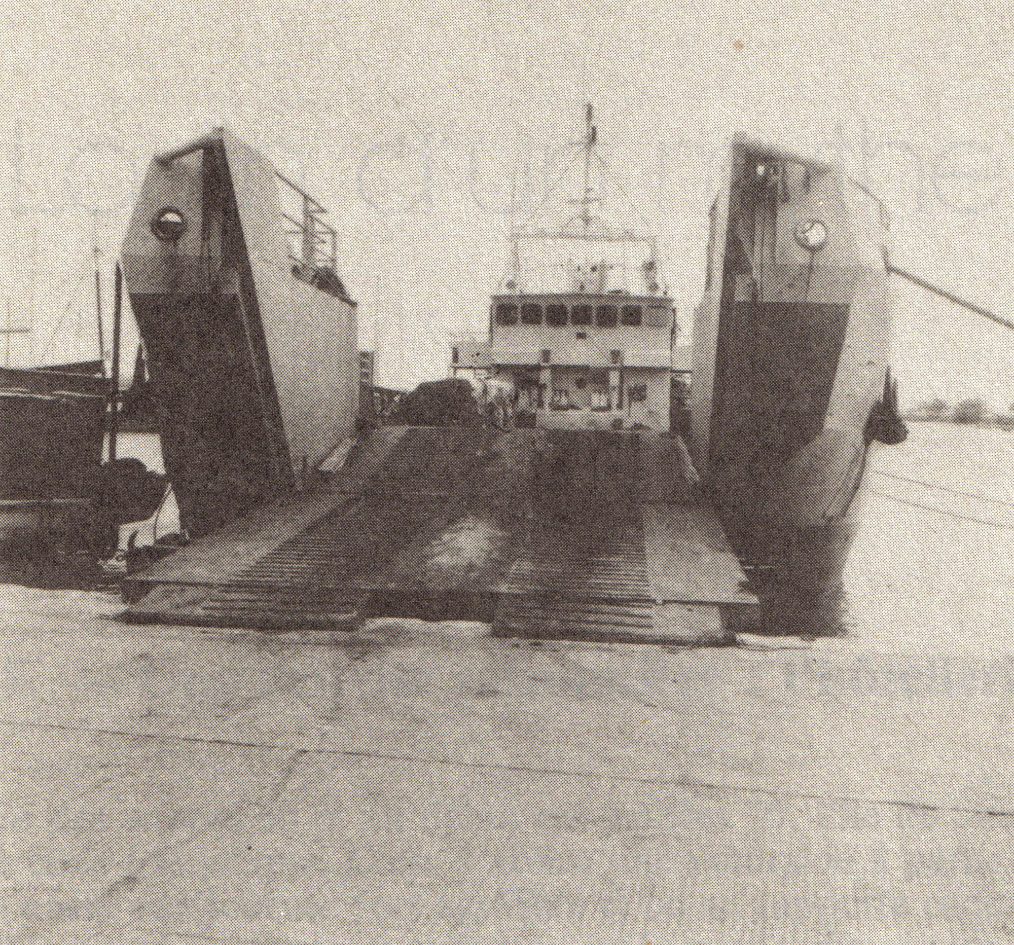 Cattle Boarding the Danube – St. Martin Image Collection