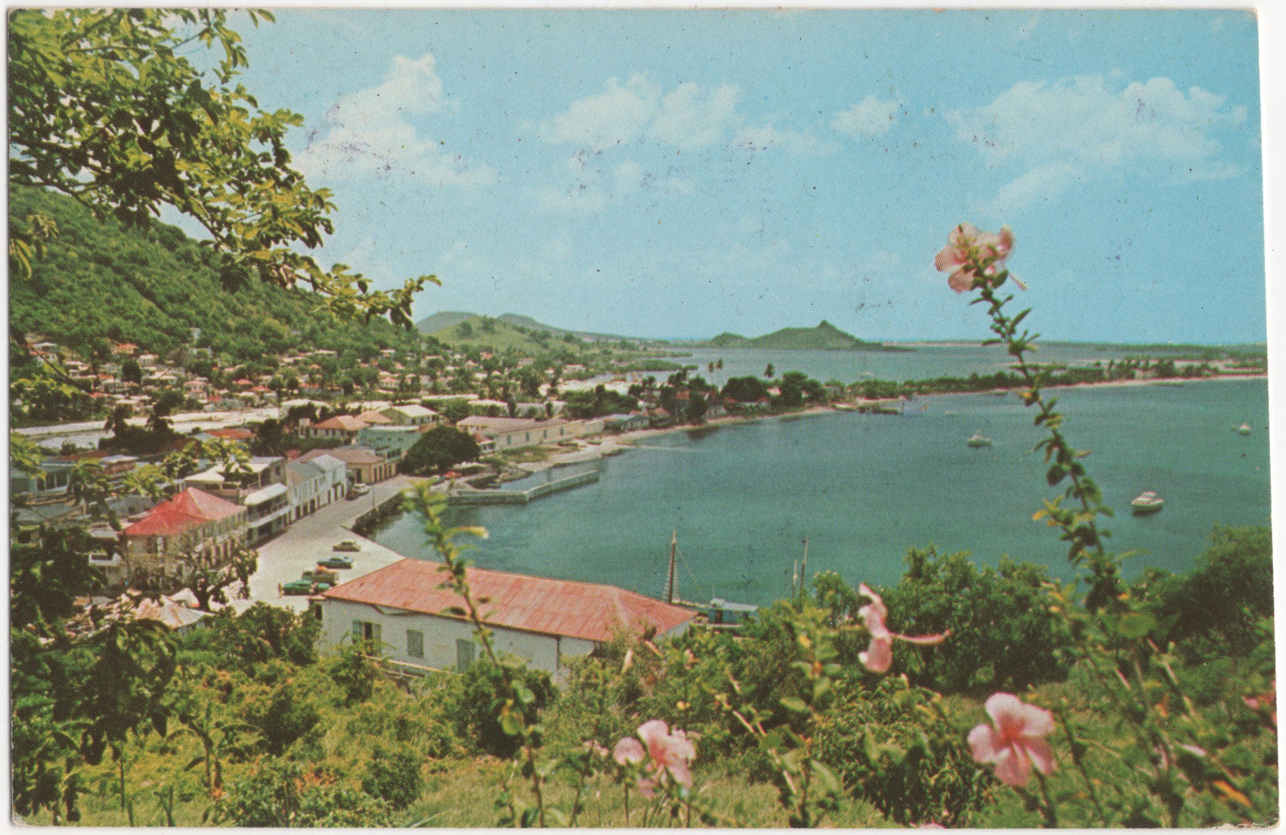 Marigot with Flowers – St. Martin Image Collection