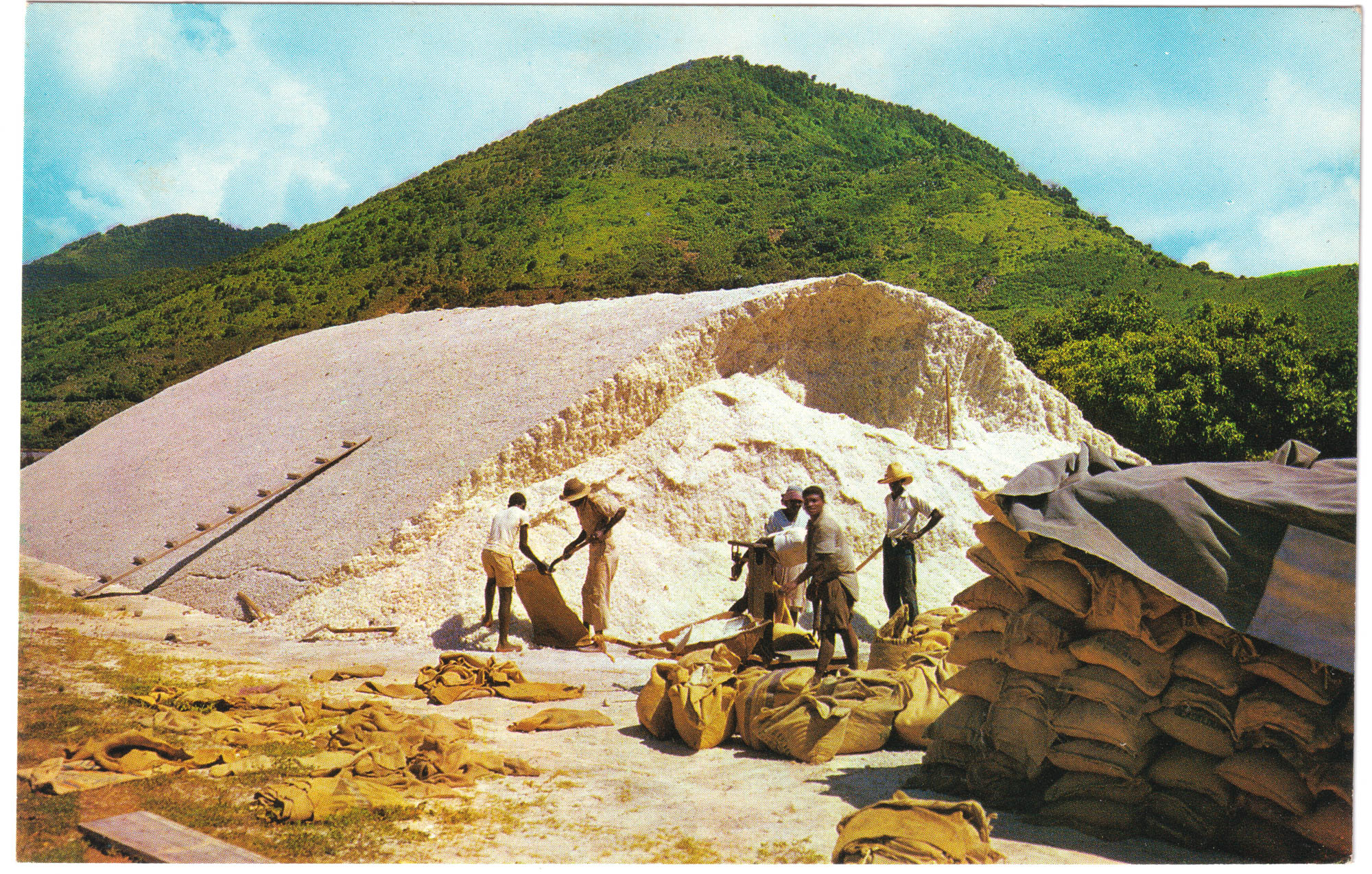 Bagging Salt – St. Martin Image Collection