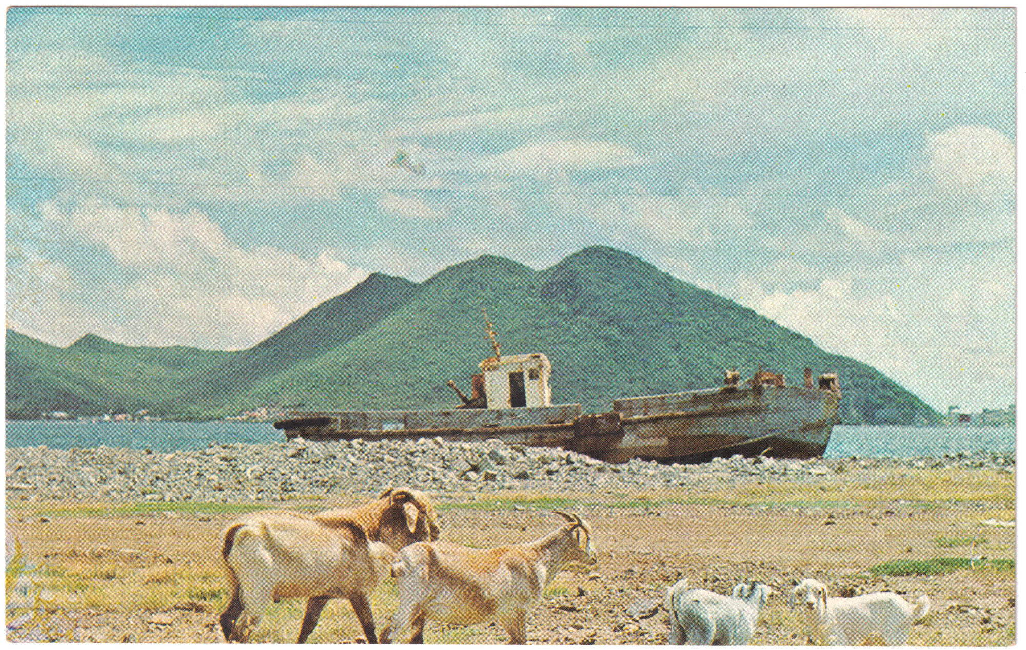 Goats & Boats – St. Martin Image Collection